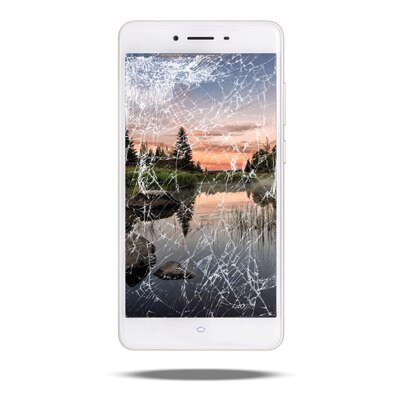 Rogers: Wireless, Internet, TV, Home Monitoring, and Home Phone